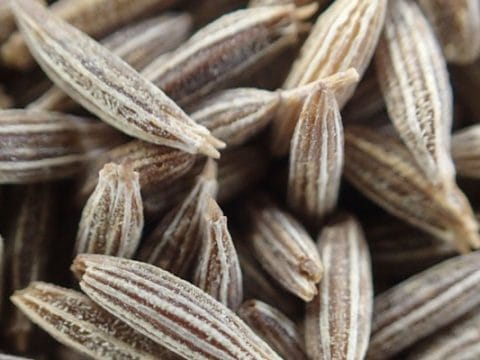 Komijn - KeukenKruiden